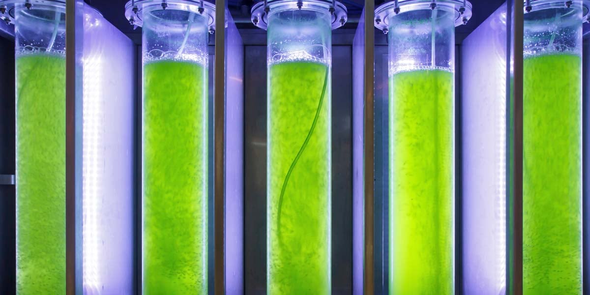 Green Builder Media | Matt Power, Editor-In-Chief ...