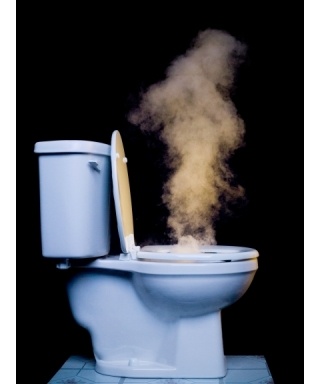 Study: Most Toilets "Spray" Germs If Flushed with Open Lid
