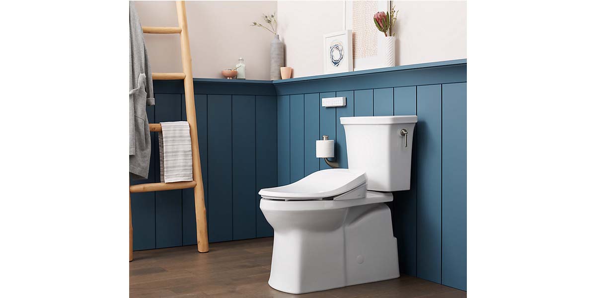 If PFAS in Toilet Paper Give Us Cancer, Bidets Offer a Solution ...