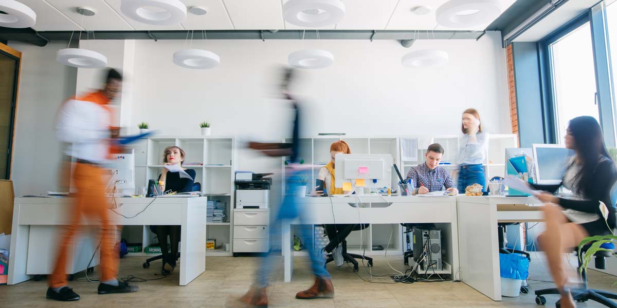 A Flurry of Activity ...