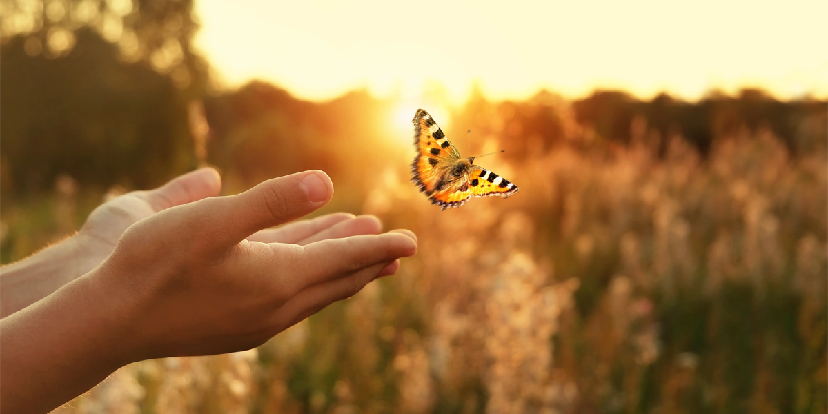 The Case for Grace ...