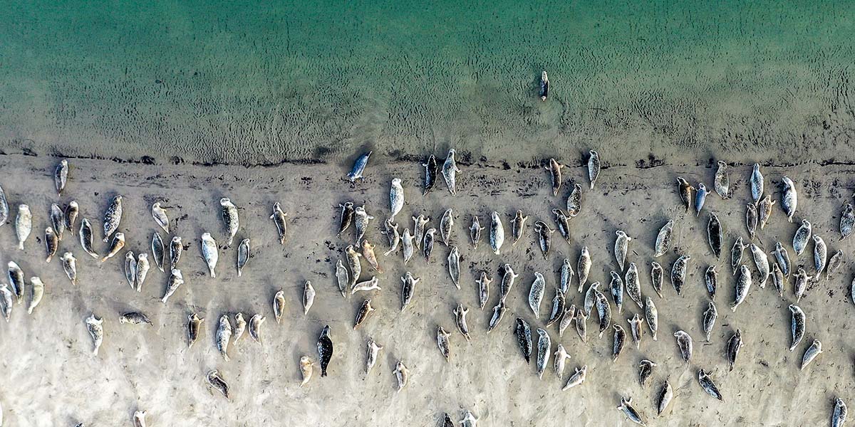 Fall in Love with Nature 2025: A Look at the Winning Photo ...